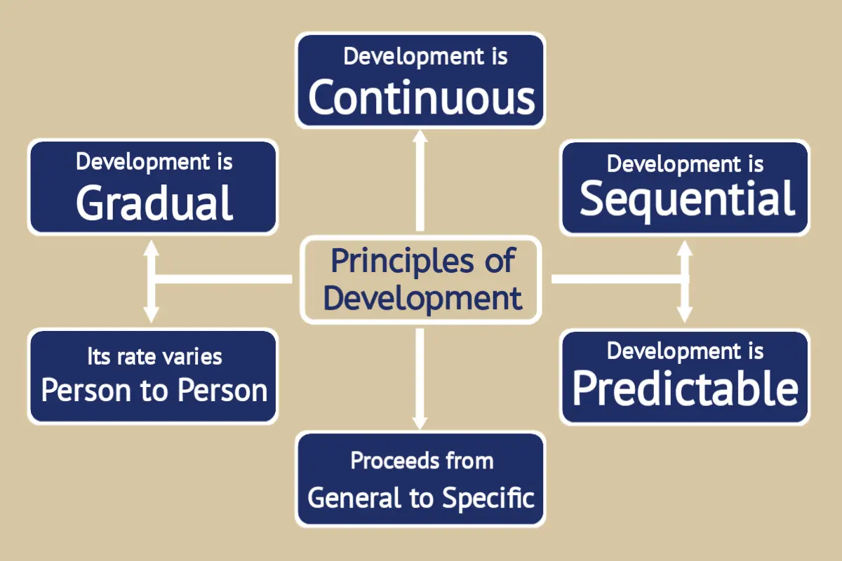 6 Basic Principles Of Development Download Pdf B Ed Notes